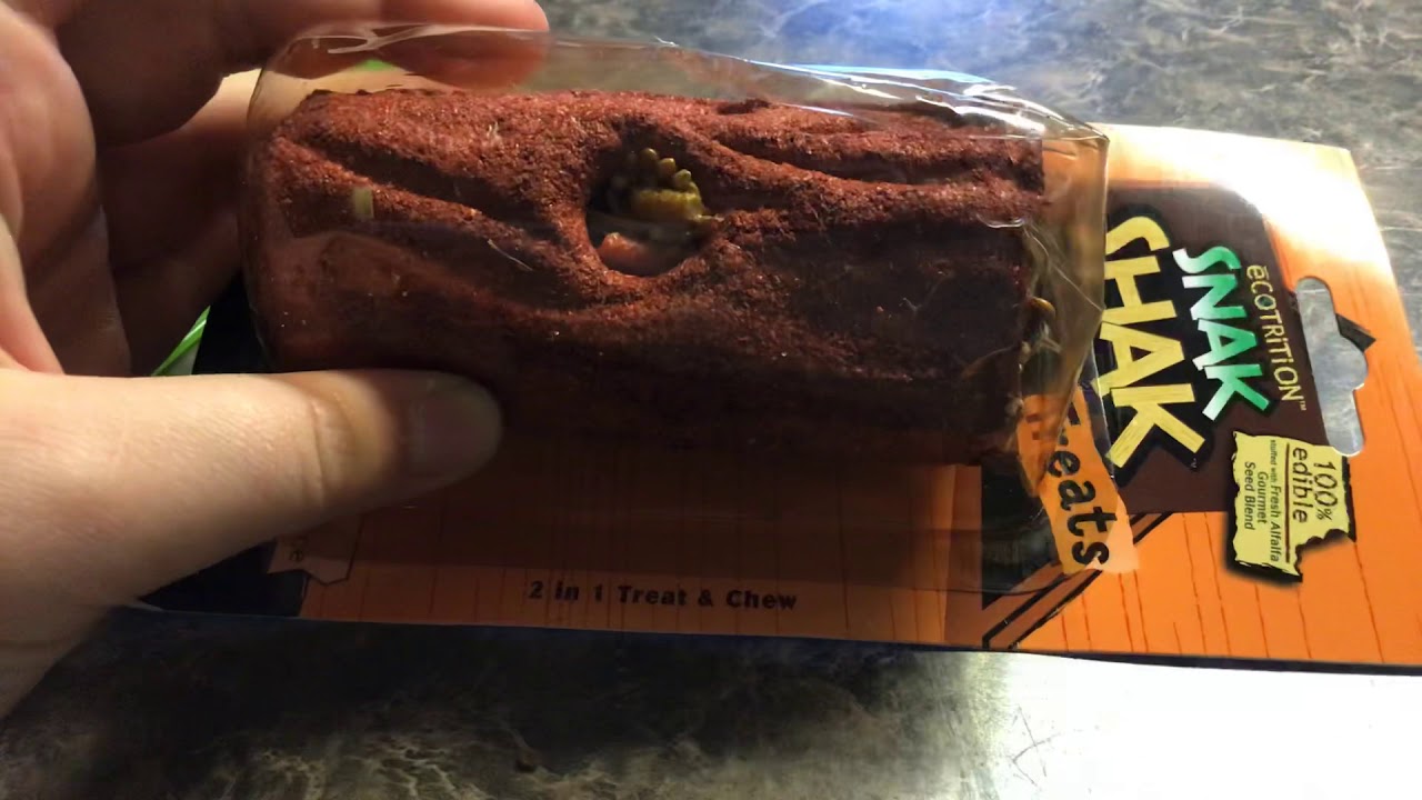 Chewy hamster haul - YouTube