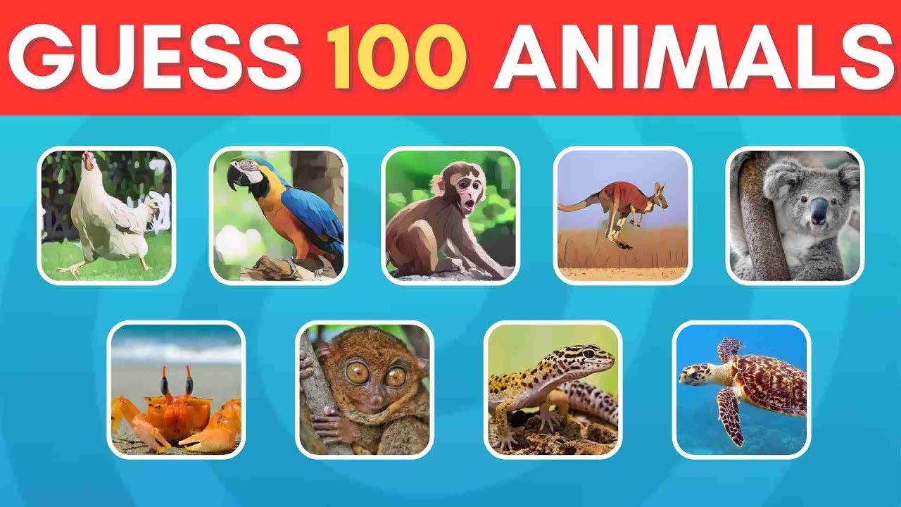 100 Animal Names Challenge! 🐾 Easy, Medium, Hard - Can You Name Them ...