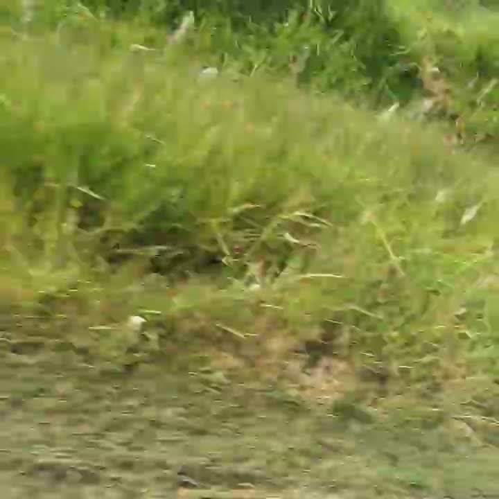 Gareen valley village life style # - YouTube