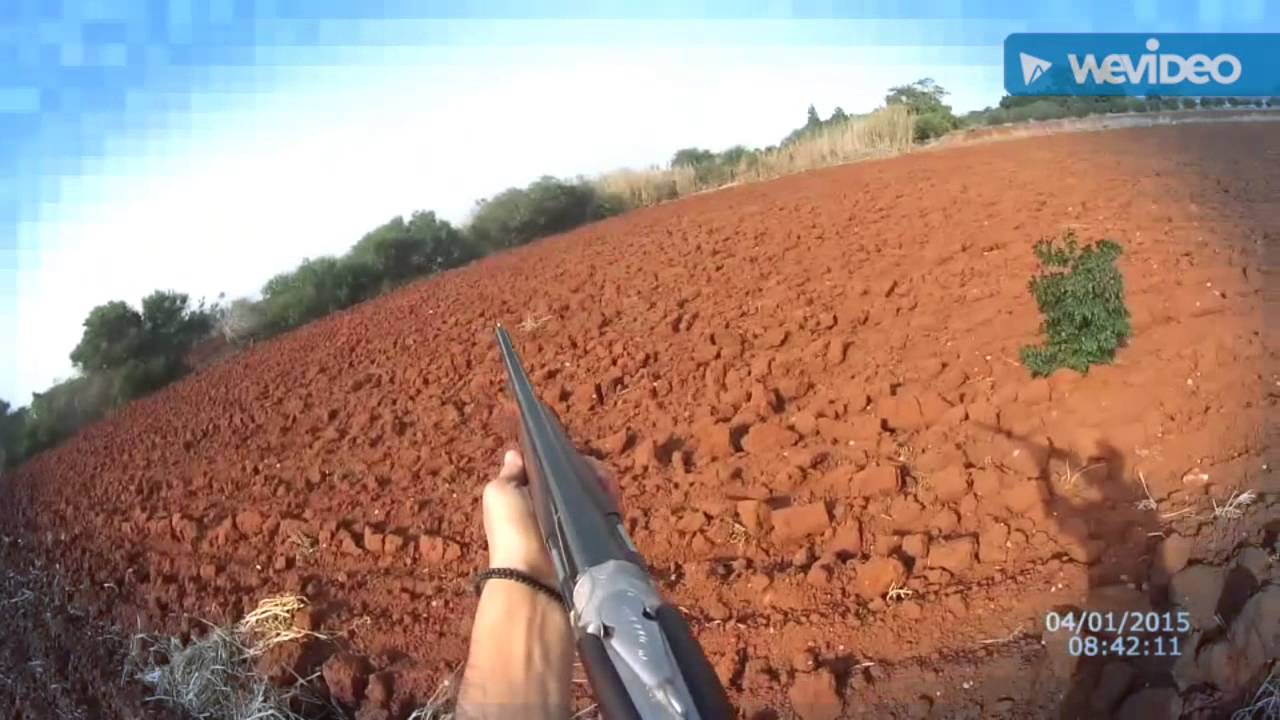 Κυνηγι στη Κυπρο 2015 - YouTube