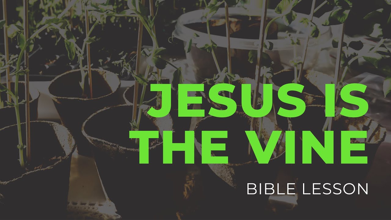 Digital Kids Lesson - Jesus is the Vine (Bible Lesson) - YouTube
