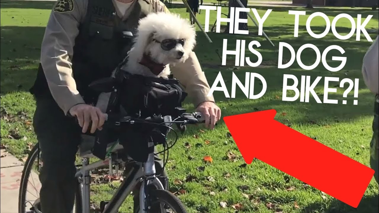 Ray Comfort gets stopped by police! - YouTube