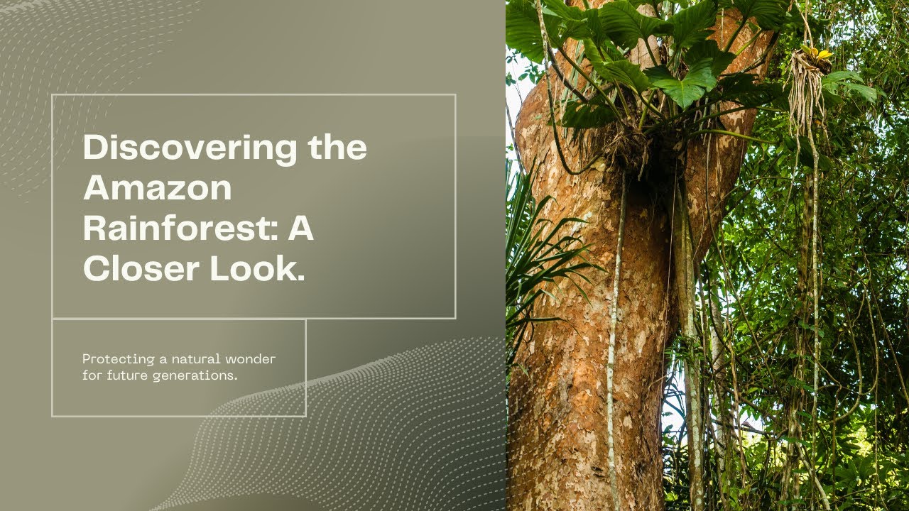 Exploring the Amazon Rainforest: Biodiversity, Threats, and ...