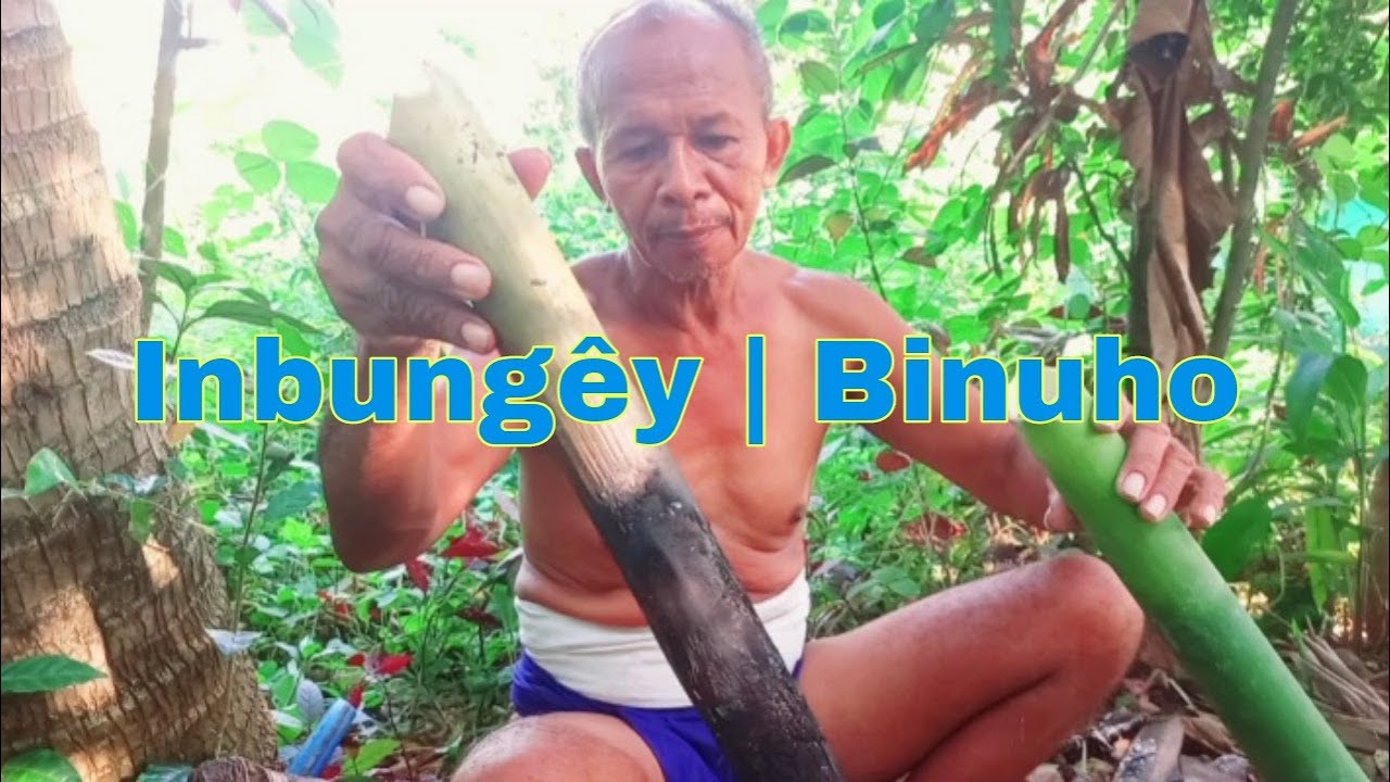 INBUNGÊY ( BINUHO) | AYTA MAG-ANTSI WAY OF COOKING - YouTube