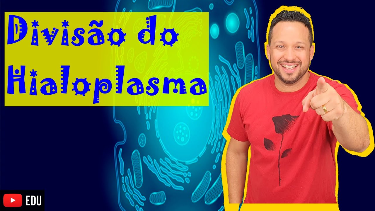 Divisão do Hialoplasma (Citoplasma) - Ectoplasma (Citogel) e Endoplasma ...