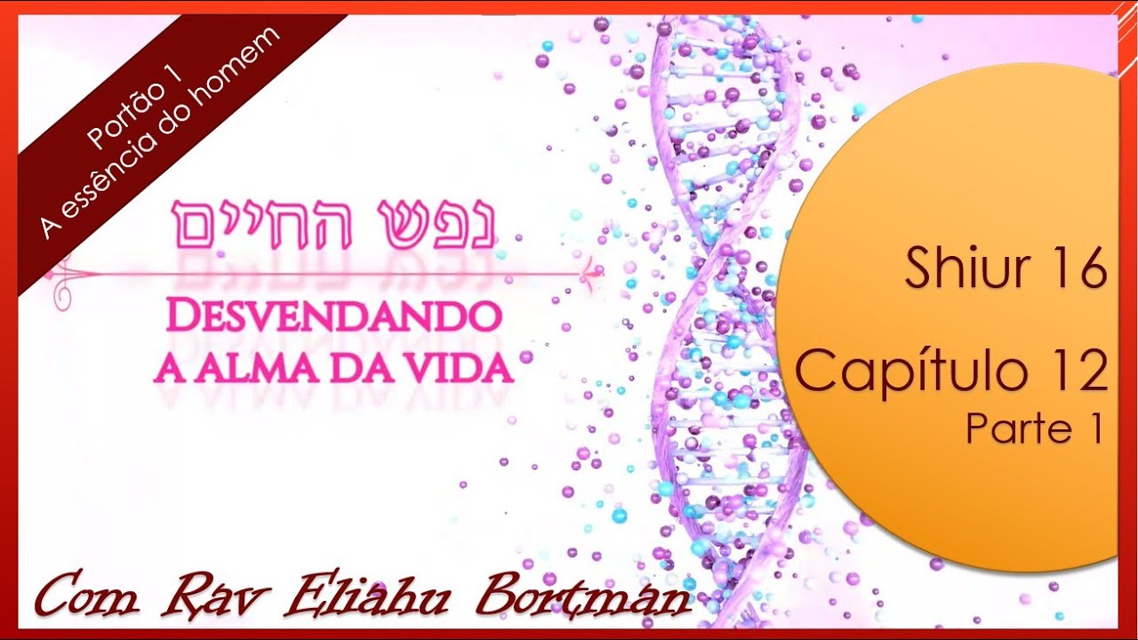 Nefesh, Ruach e Neshamá - Alma, alma e alma?! Nefesh Hachaim (16 ...