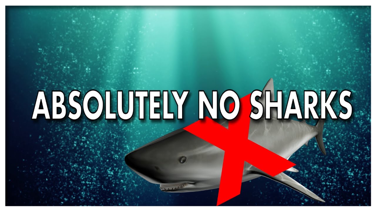 Test Stream Please Ignore NO SHARKS - YouTube
