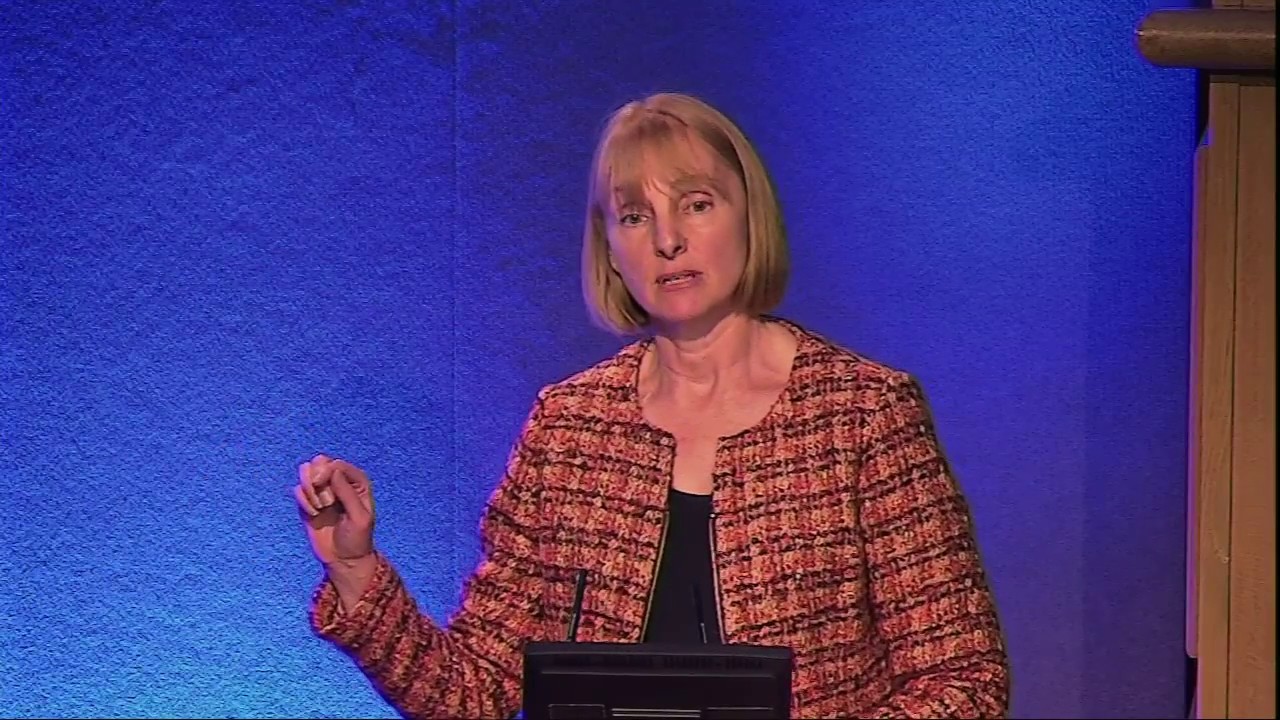 IPL Dublin 2015 Afternoon Plenary Session Christine Braithwaite and Dr ...