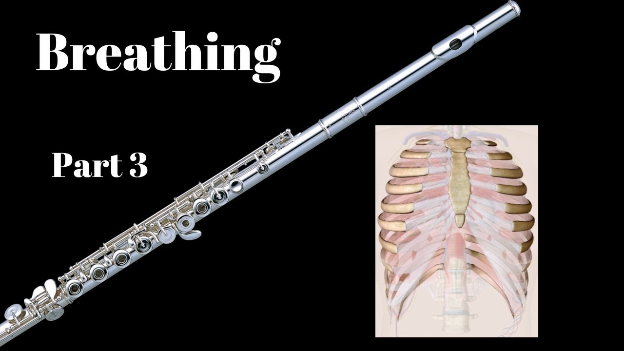 Flute Breathing: Part 3 Ribs and Intercostal Muscles - YouTube