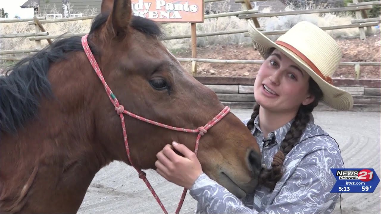 Heartbreaking story of severely injured horse has fairytale ending ...