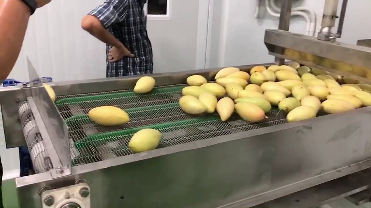 MANGO STEEL PREPARETION PLANT for EXPORT _ BY SPT SPECIALTECH - YouTube