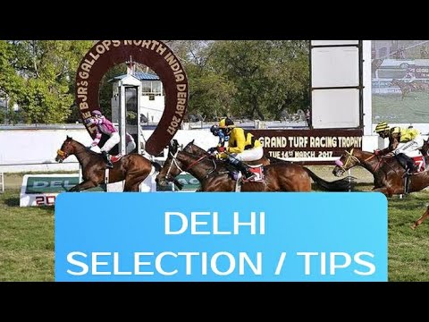 DELHI RACE - 13 Apr 2023 | DELHI HORSE RACING SELECTION | DELHI HORSE ...