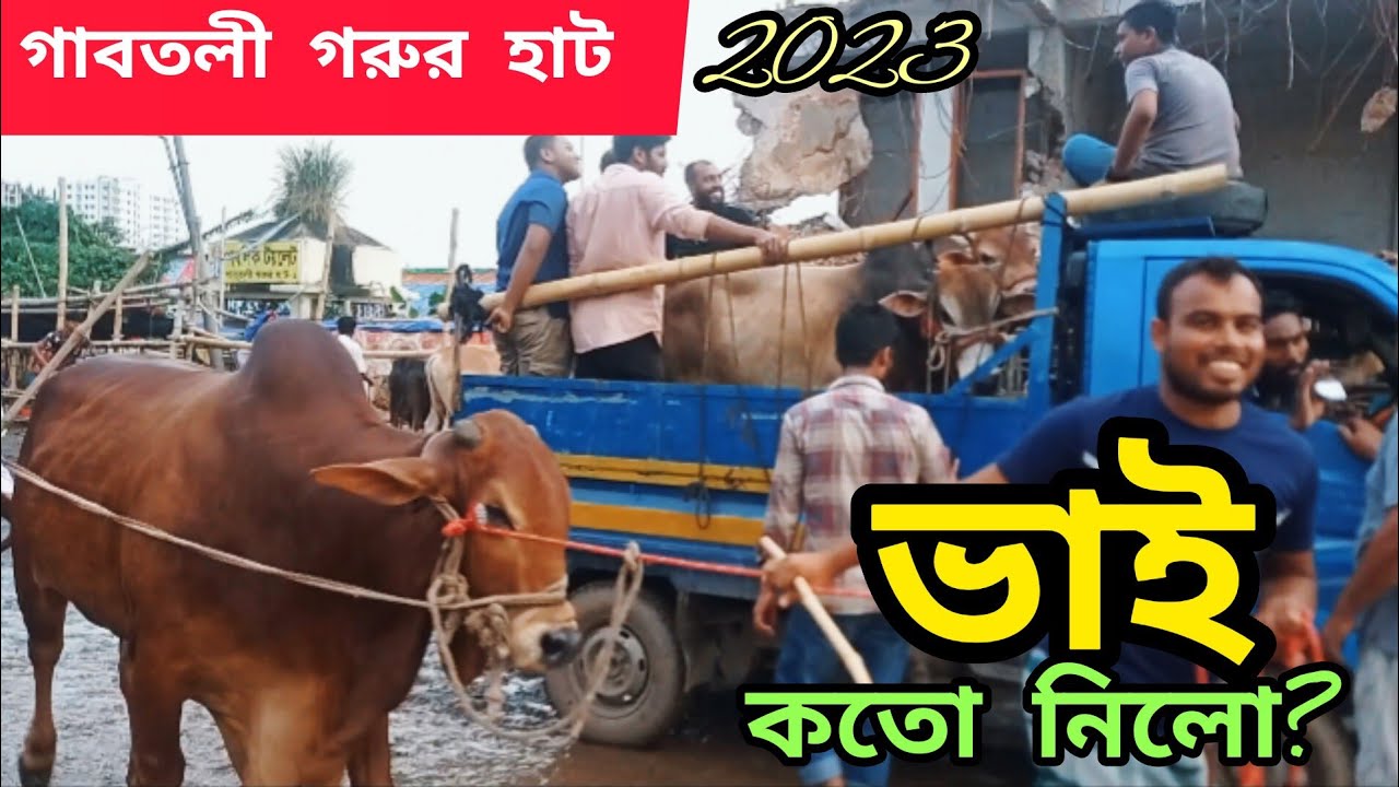 Bhai Kobi Nilo? Gabtoli Gorur Haat 2023 Pat-20 Aurbani cow Ptice in ...