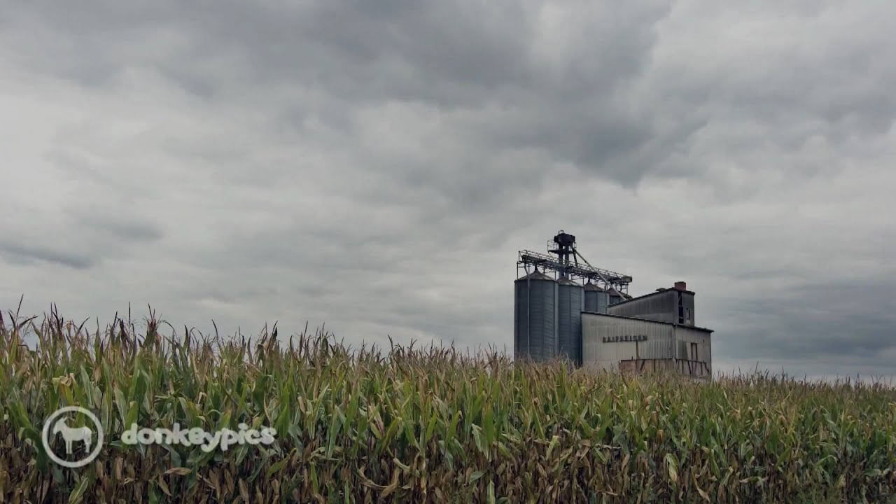 Timelapse Corn Field with old farm building - YouTube