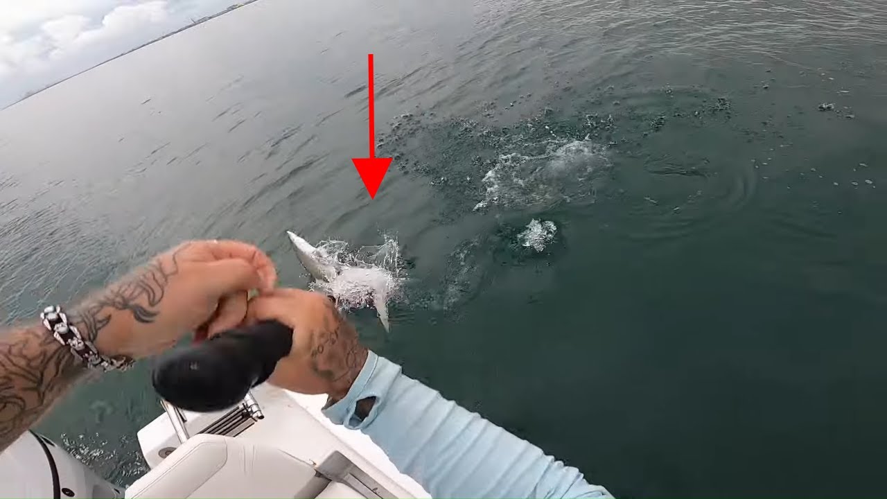This was an insane bite - YouTube