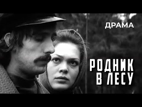 Родник в лесу (1973 год) драма