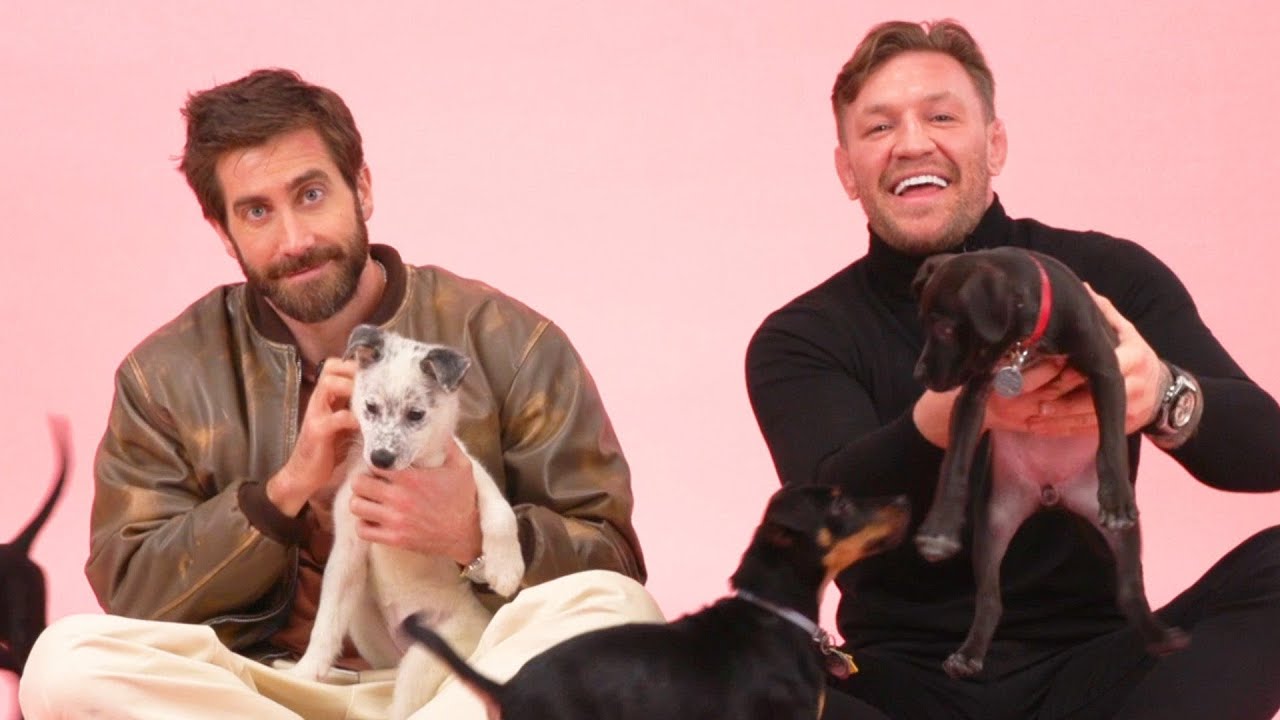 Jake Gyllenhaal and Conor McGregor: The Puppy Interview - YouTube