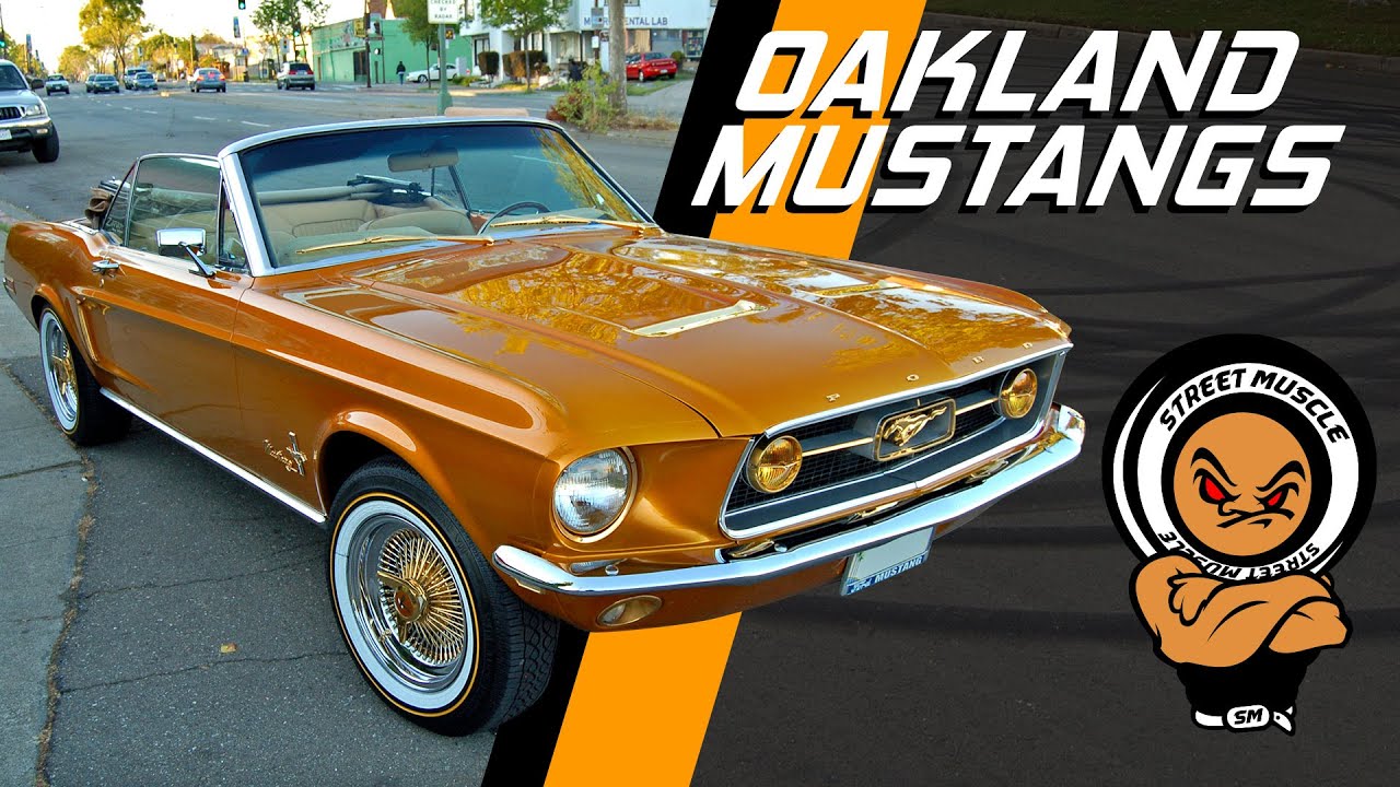 REAL OAKLAND MUSTANGS - REAL GOLD ZENITHS! #musclecar #mustangs #ford # ...