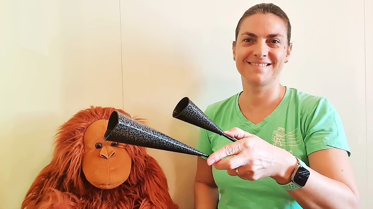 Agogo - double bell instrument - YouTube