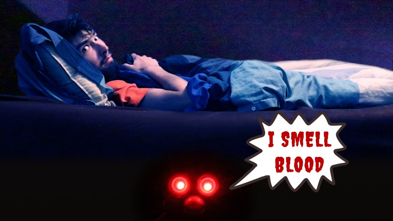 Hacking A Furby To Demonically Whisper While I Sleep - YouTube