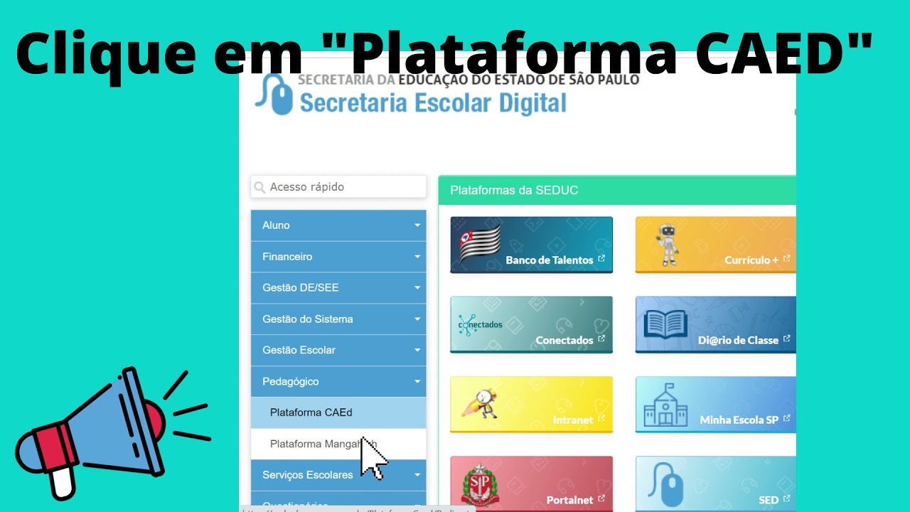 TUTORIAL DE ACESSO A PLATAFORMA CAEd - EE NELSON ANTONIO DO NASCIMENTO ...