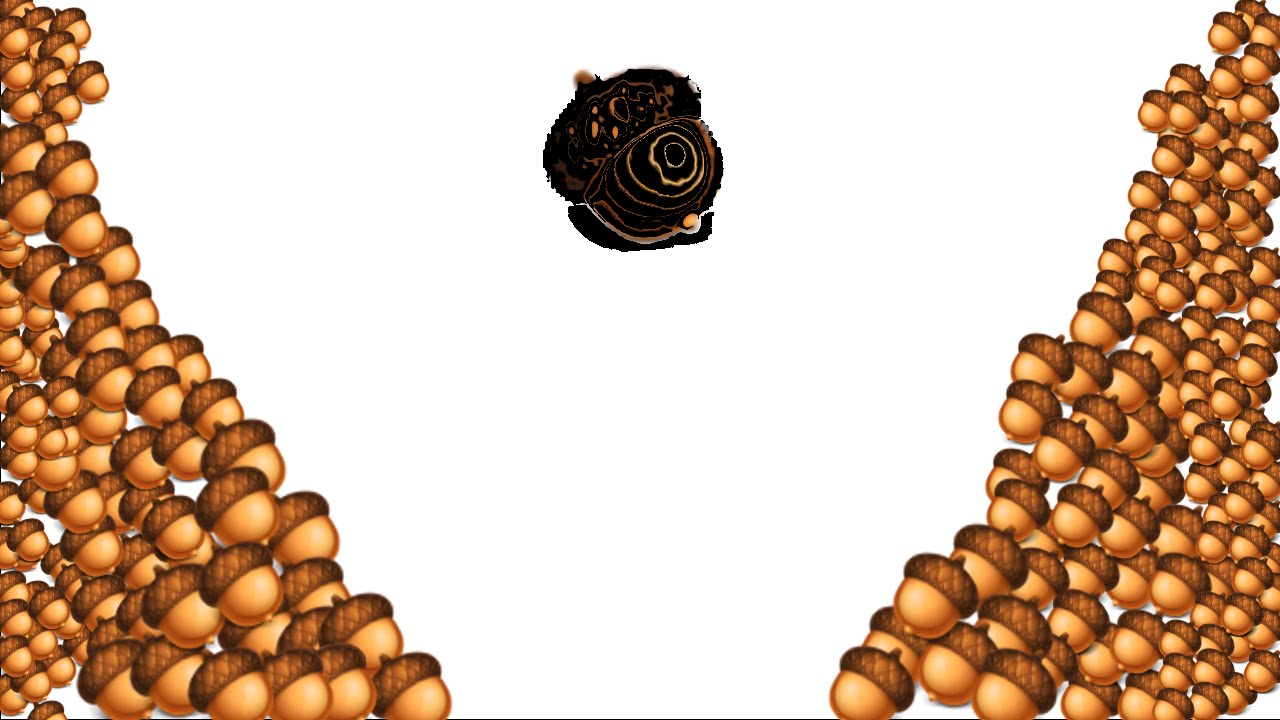 The Great Nut War - YouTube