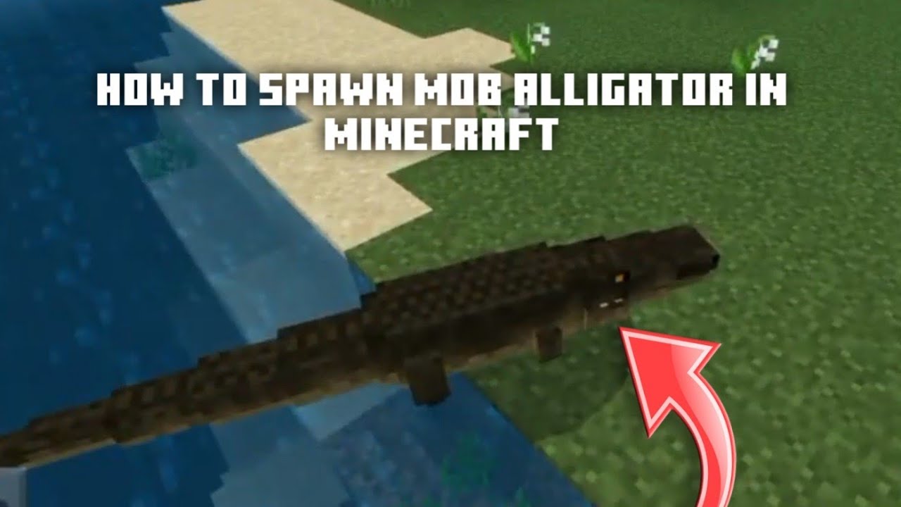 Minecraft Mobs Addons Alligator - Showcase - YouTube
