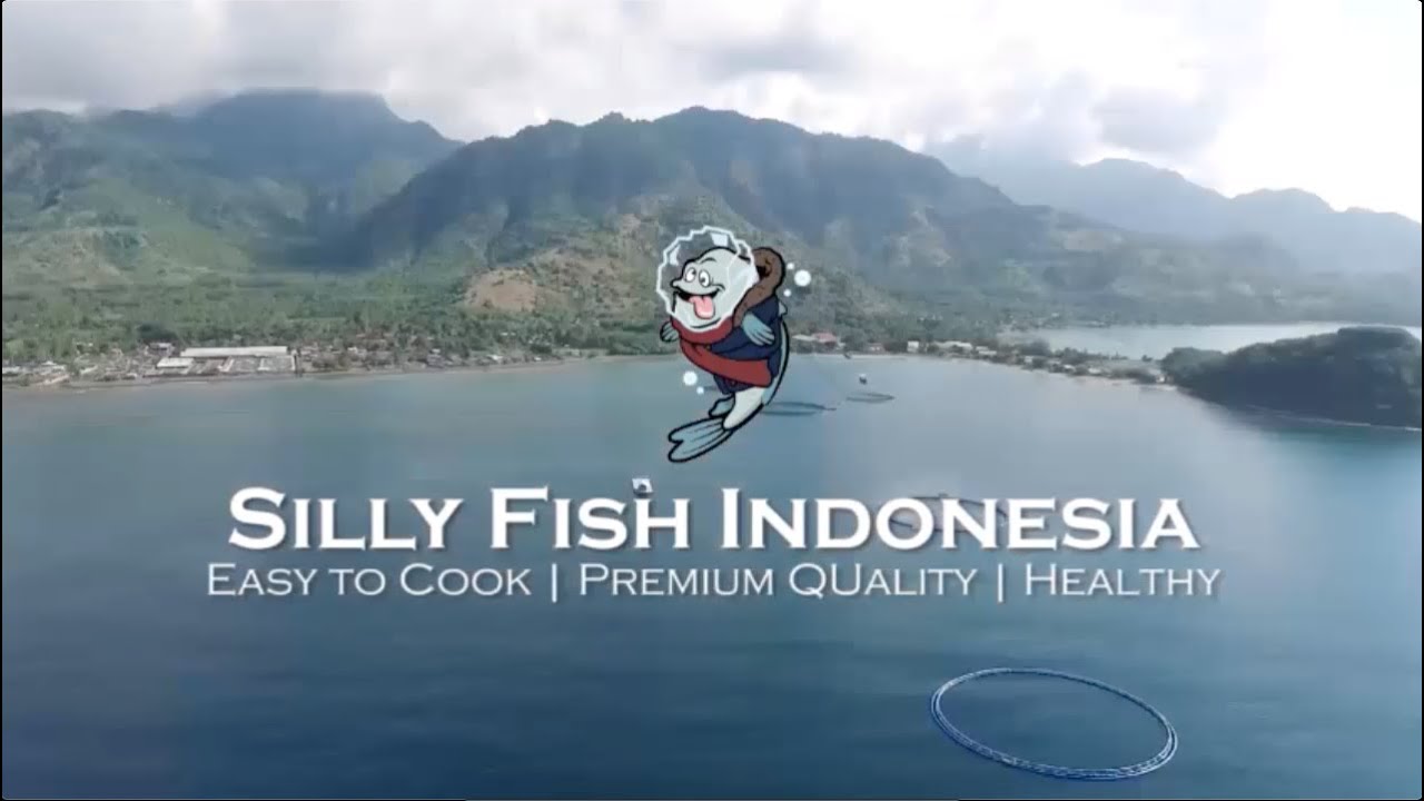 Silly Fish Indonesia Potential Market - YouTube