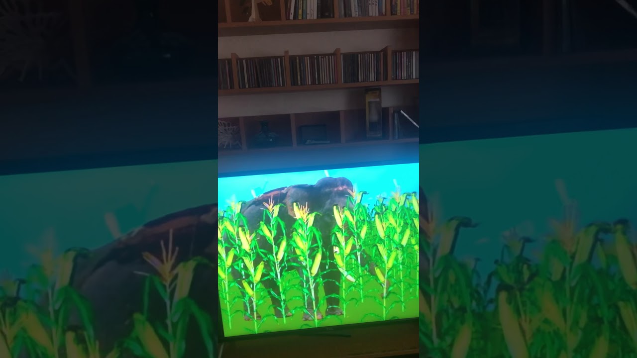 Elmo world farms - YouTube