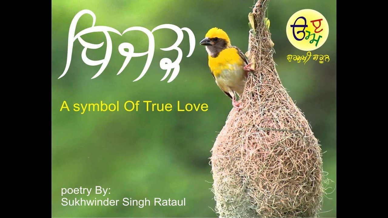 Bijrha- The Weaver Bird | Punjabi poetry | Sukhwinder Singh Rataul ...