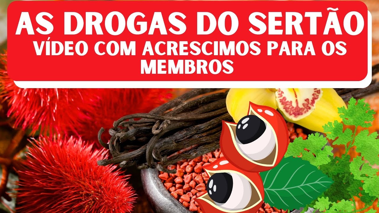 As drogas do sertão (vídeo com mais informações para os membros) - YouTube