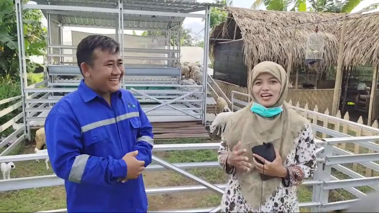 Live #20 Sinatria Farm dan Team - YouTube