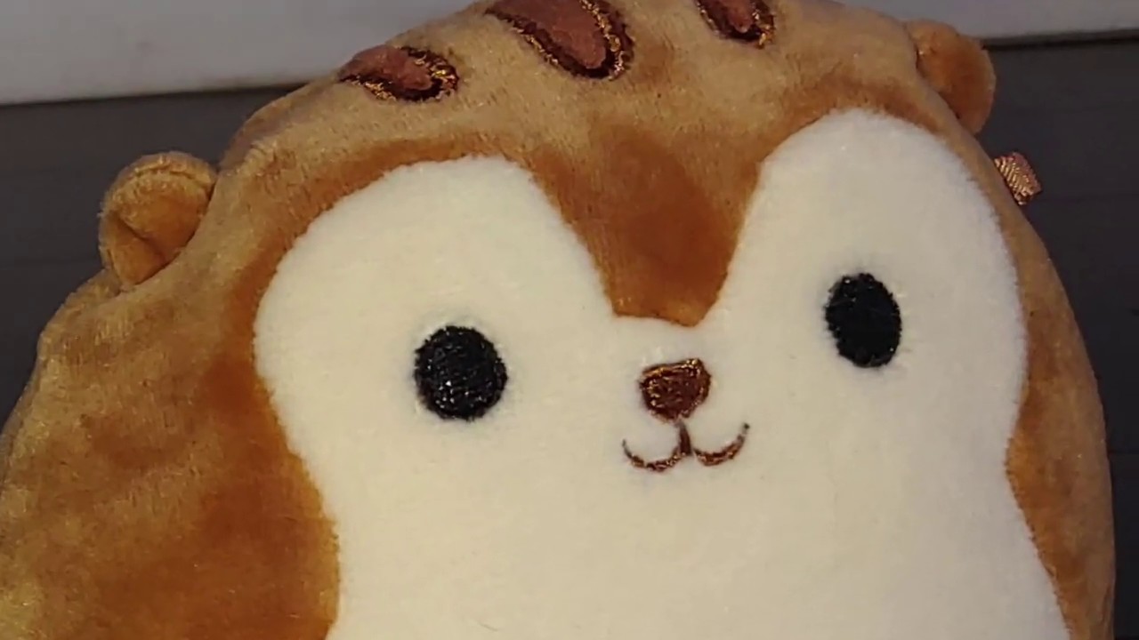 Happy Valentines Day Chippy!! ~ For Kids - YouTube