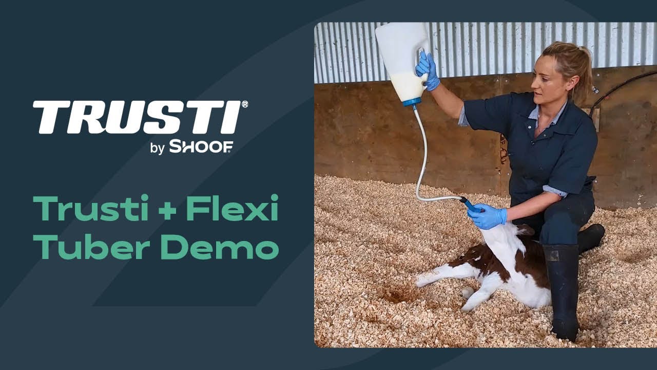 Trusti + Flexi Tuber Demo - YouTube