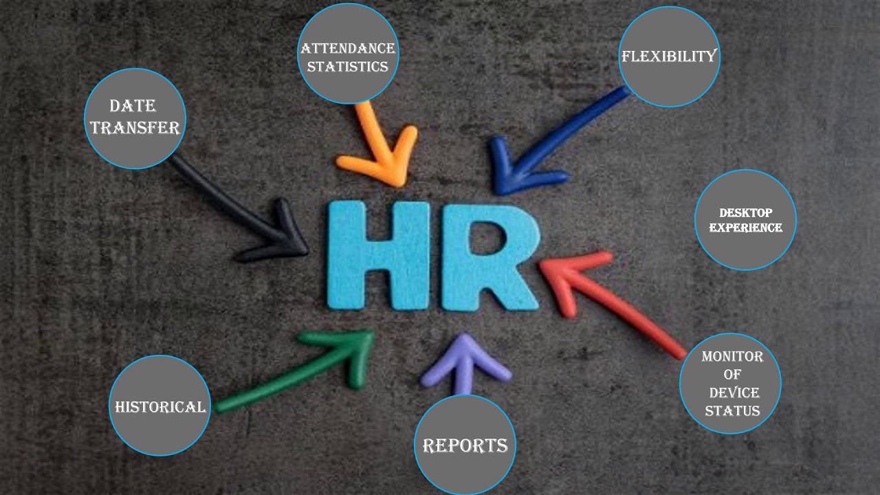 HR Application (English Review) - YouTube