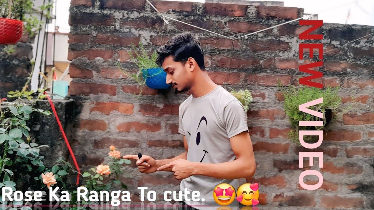 Rose Ka Ranga To Cute Hai.. - YouTube