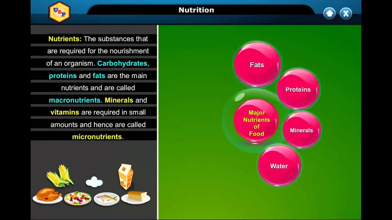 Nutrition - Part 3 - YouTube