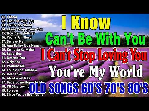 🎶 Timeless Love Songs of the 80s & 90s 💖 All-Time Favorite Romantic Hits Playlist