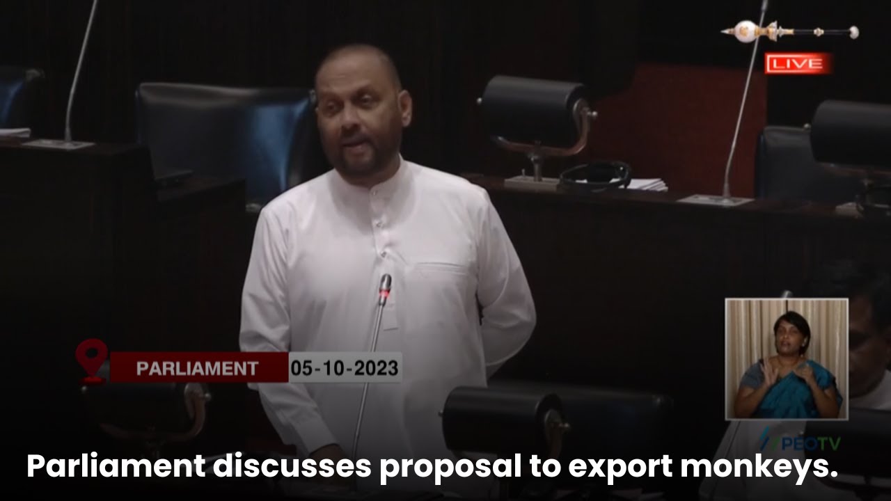 Parliament discusses proposal to export monkeys - YouTube