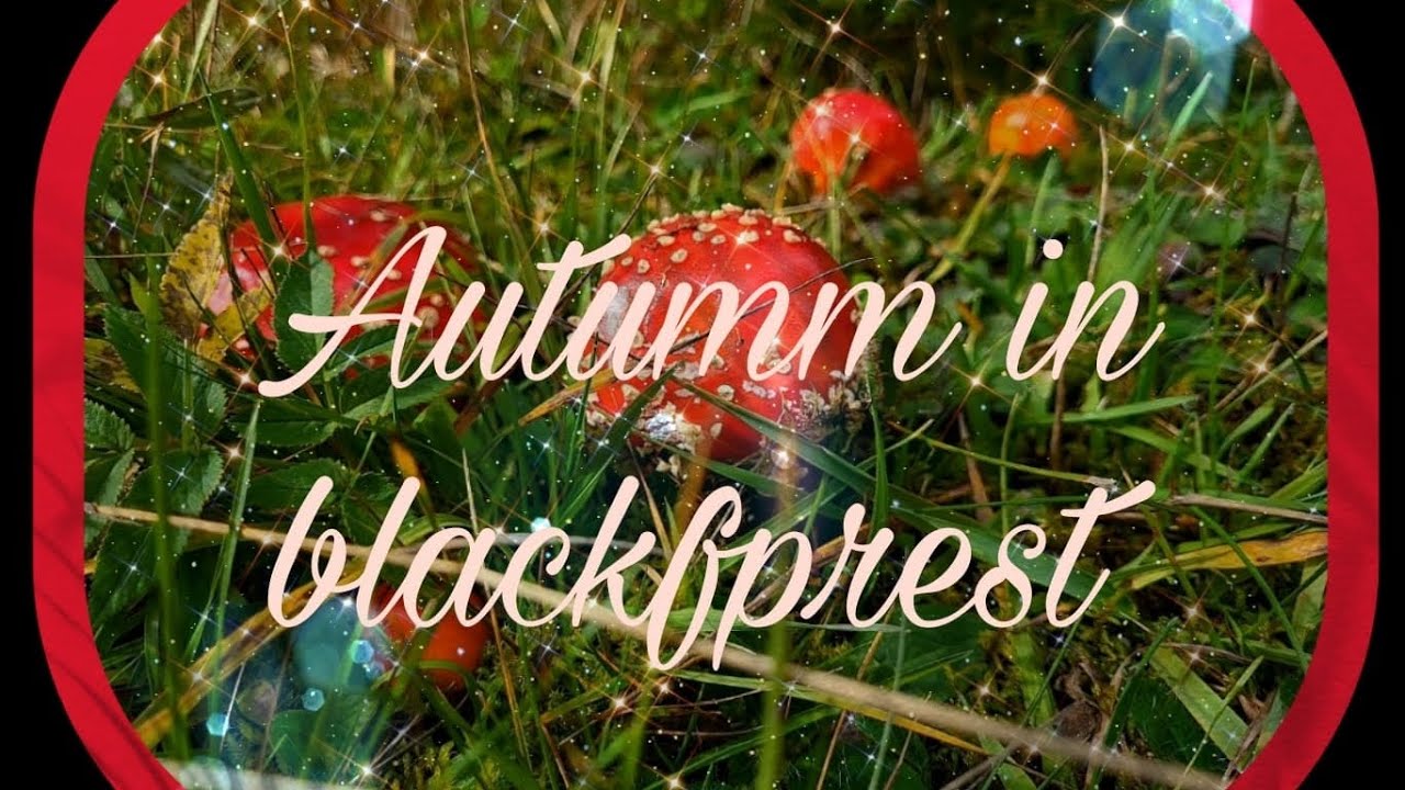 Autumn 🍂 in Germany 🇩🇪 - YouTube