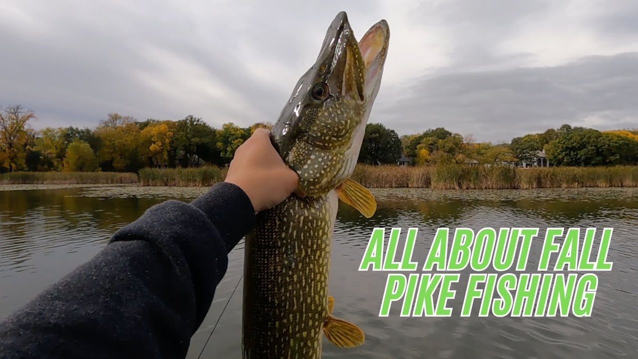 All About Fall Pike Fishing | J-Hooked Fishing - YouTube