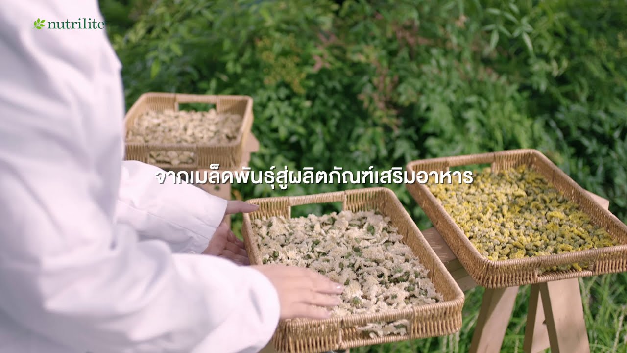 ศูนย์วิจัยพฤกษศาสตร์แอมเวย์ (Amway Botanical Research Center; ABRC ...