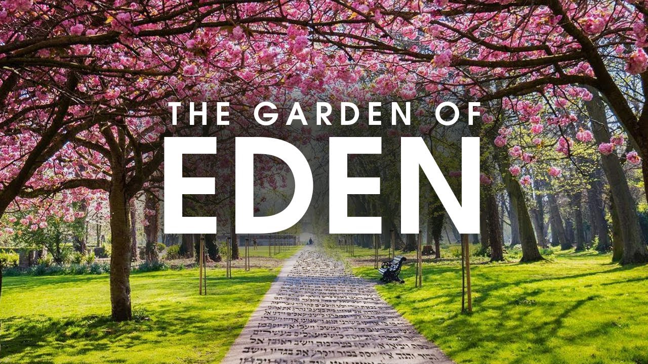 Hebrew Insights | Episode 9: The Garden of Eden - YouTube