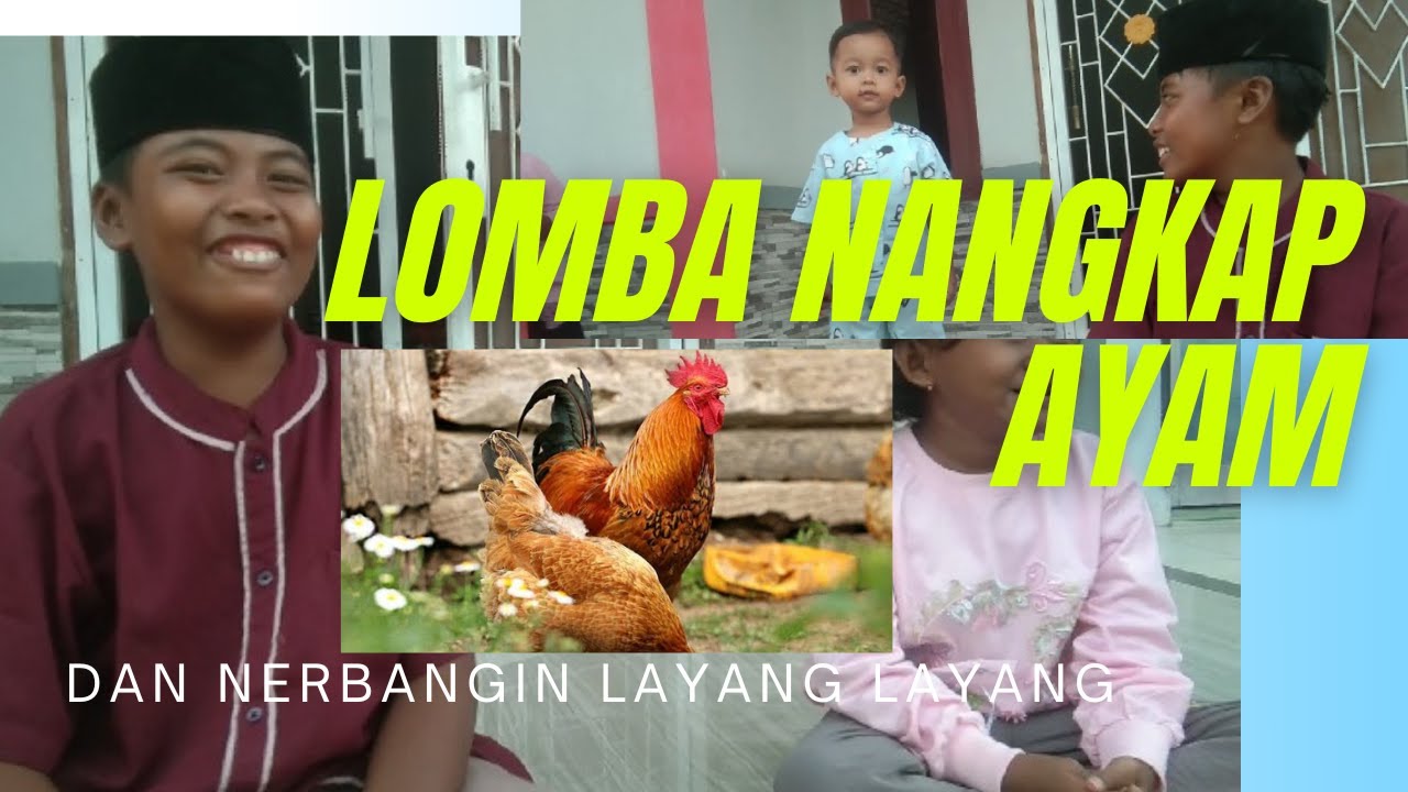 LOMBA NANGKAP AYAM 😁AMAR dan awaz #layangan #ayam - YouTube