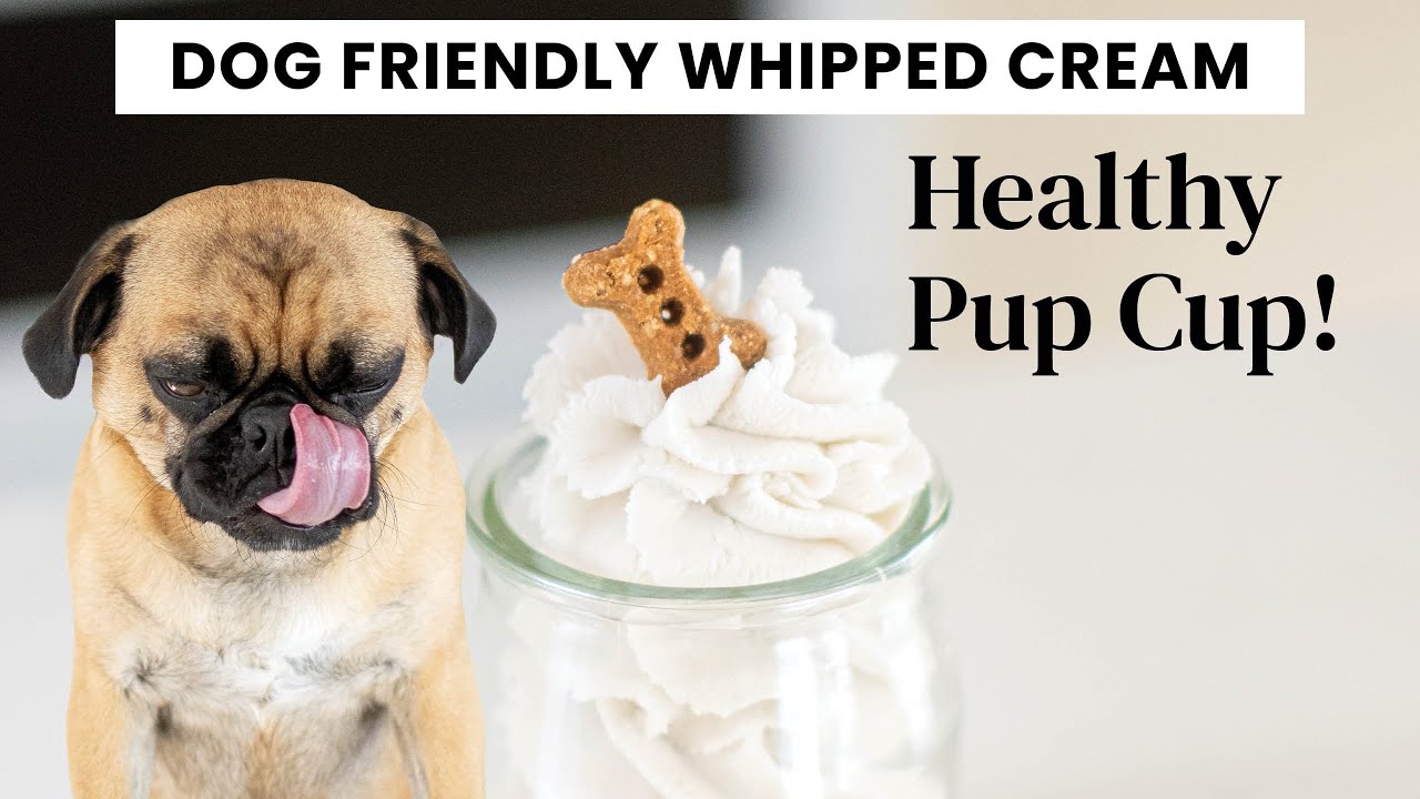 Homemade Pup Cup in Minutes | Dog-Friendly Dairy-Free Whipped Cream ...