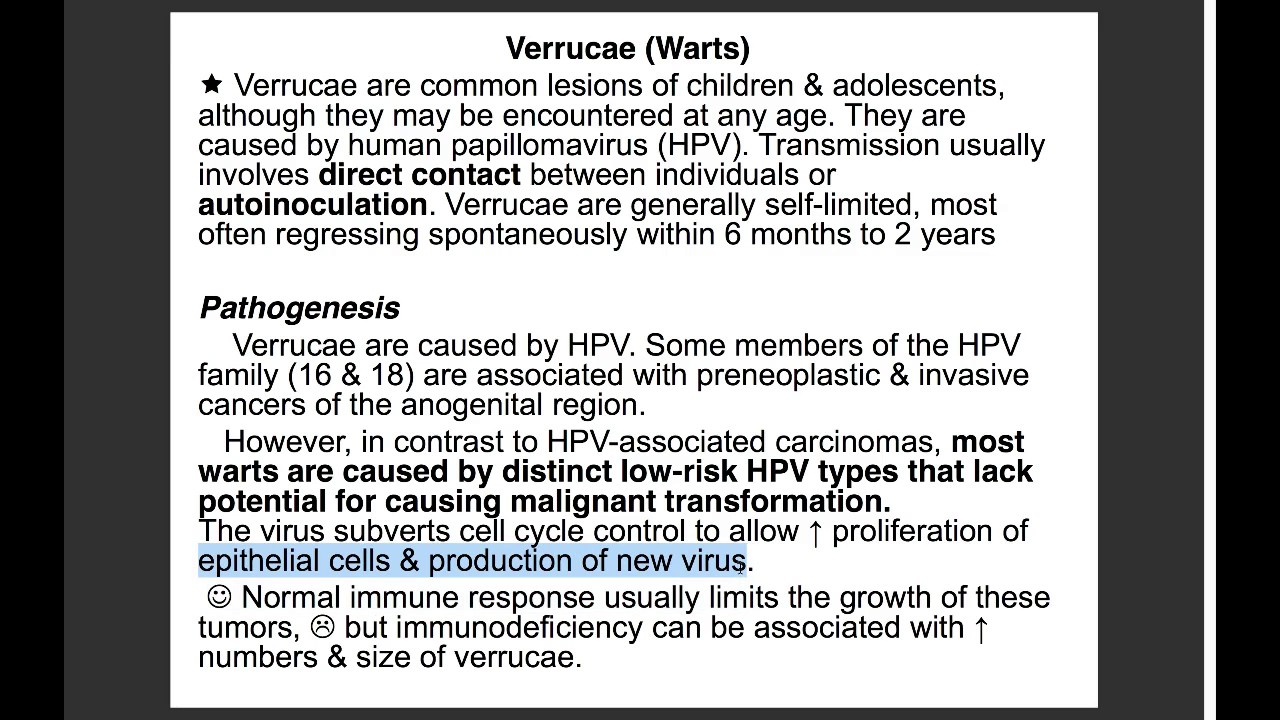 MSS Pathology - Infectious Dermatoses - By Maher Daoud - YouTube