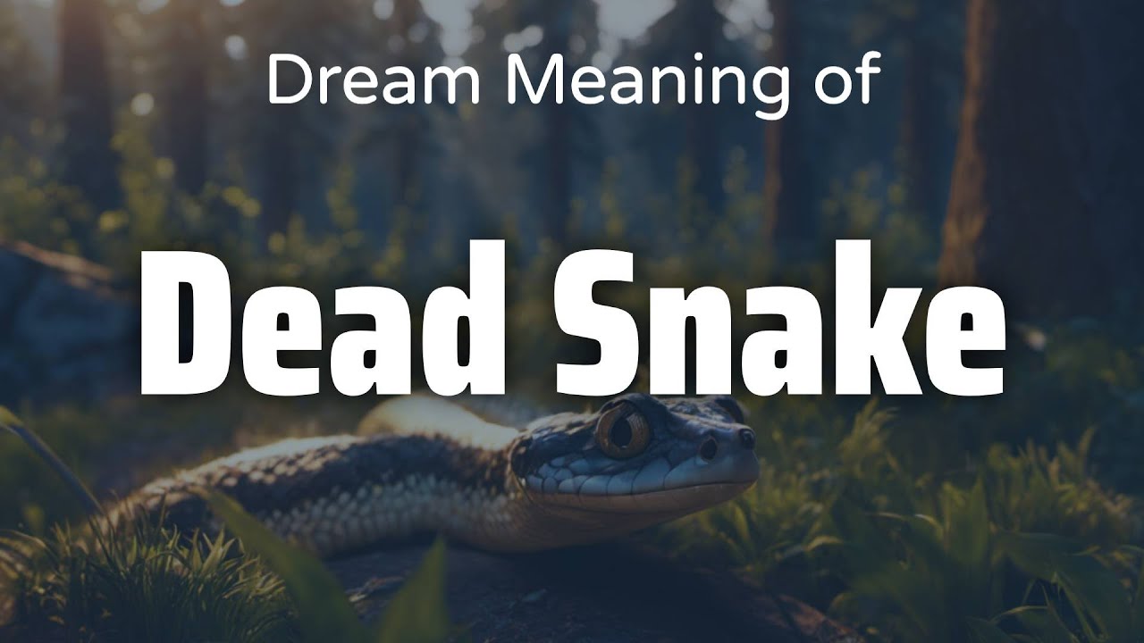 Dead Snake Dream Meaning & Symbolism | Interpretation Psychology - YouTube