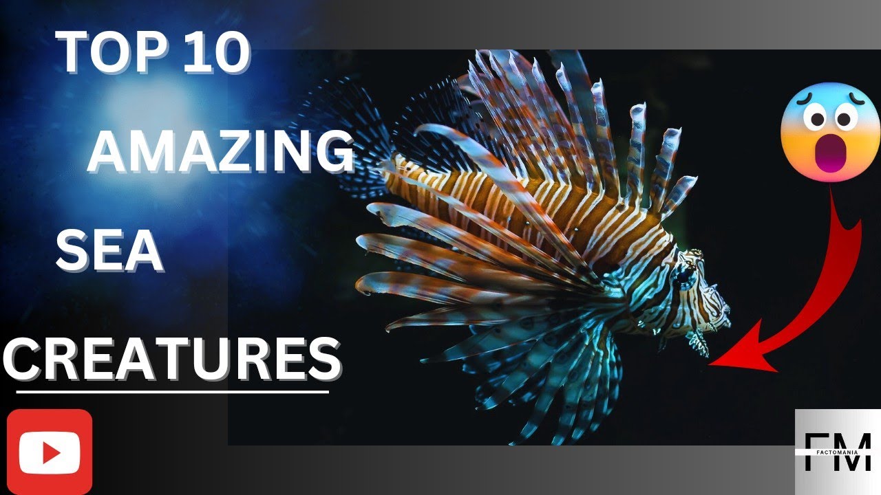 Top 10 Amazing Sea Creatures | Most Beautiful Marine Animals - YouTube