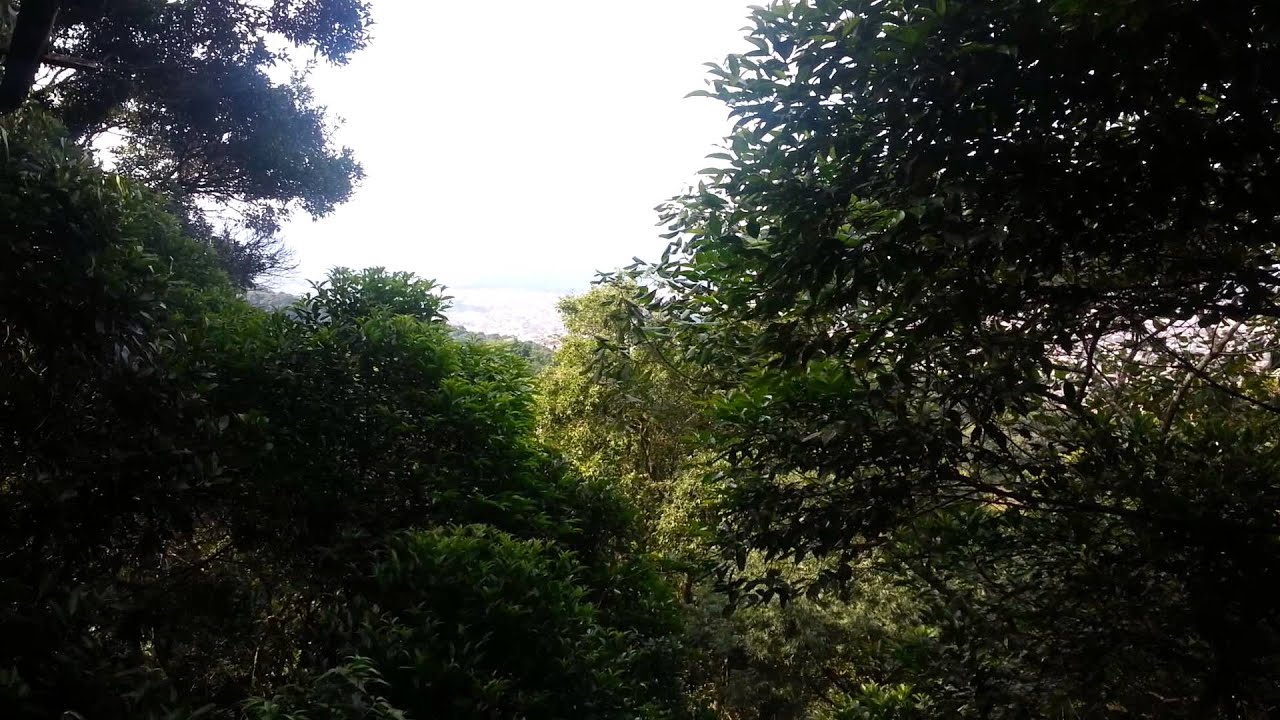 Morro do Finder - YouTube