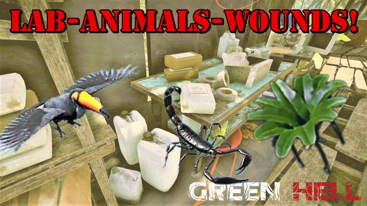 Green Hell | Finding the Drug Lab - and Tasting new Animals | EP 2 ...